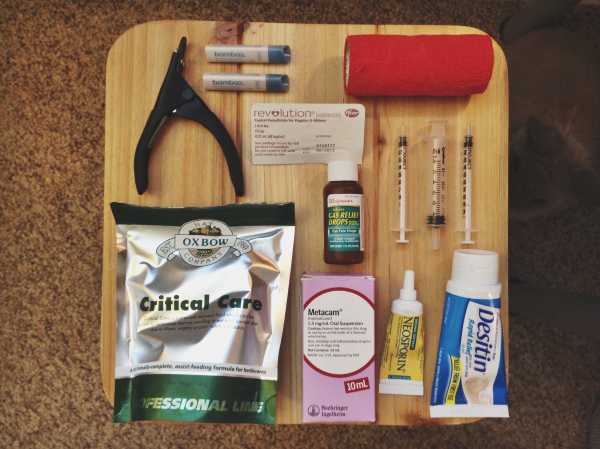 Bunny First Aid Kit | Spooky and Scully